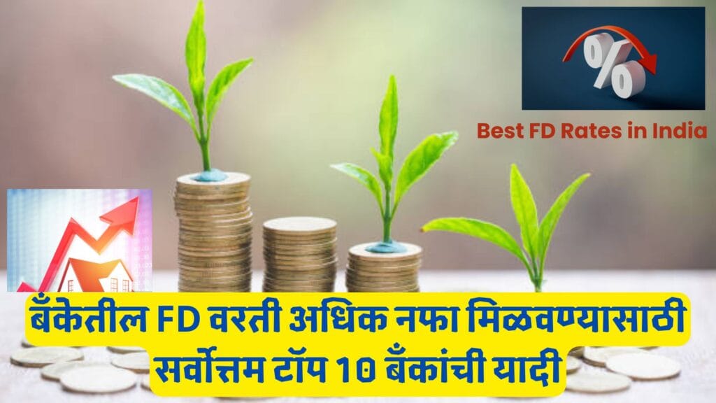 Best FD Rates in India: बँकेतील FD वरती अधिक नफा मिळवण्यासाठी सर्वोत्तम ...